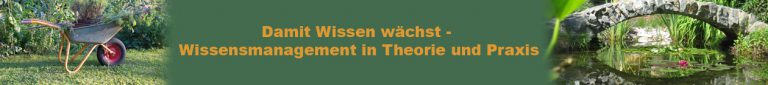 SECI Modell oder Wissensspirale | wissensmanagement